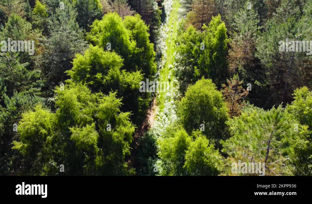 Remote norfolk Stock Videos & Footage - HD and 4K Video Clips - Alamy