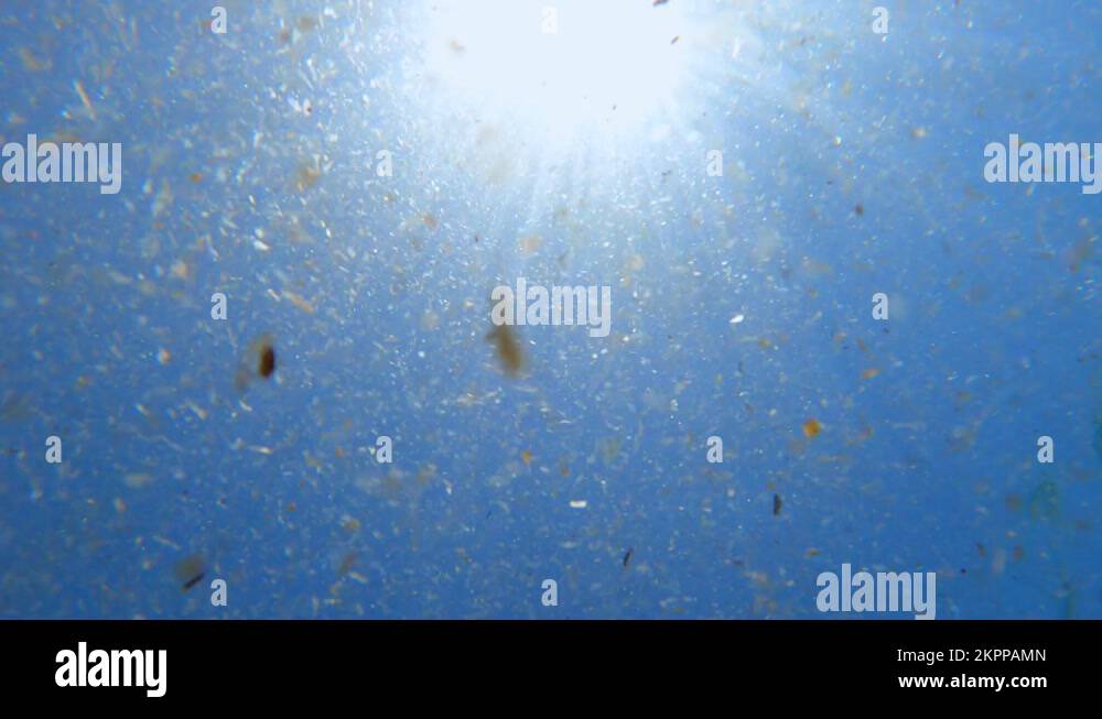 Illuminated float Stock Videos & Footage - HD and 4K Video Clips - Alamy