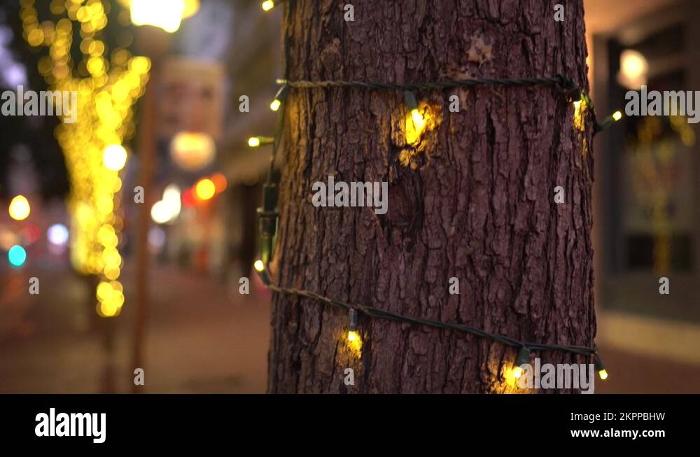 Lit tree night Stock Videos & Footage - HD and 4K Video Clips - Alamy