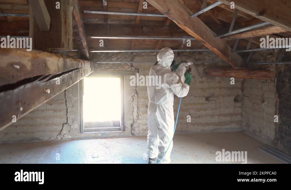 Woodframe structure Stock Videos & Footage - HD and 4K Video Clips - Alamy