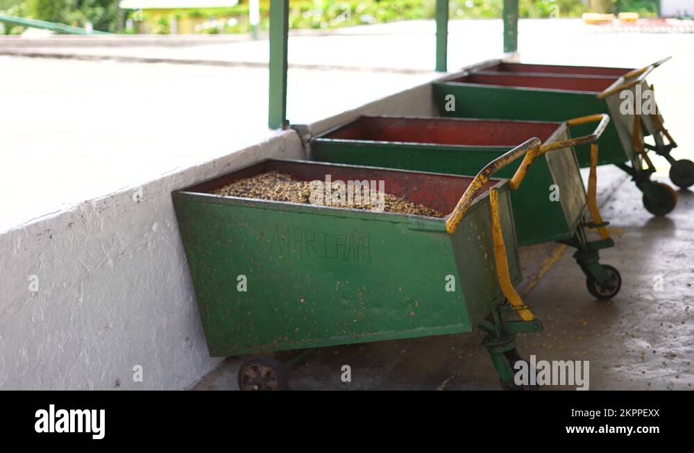 Beans cart Stock Videos & Footage - HD and 4K Video Clips - Alamy