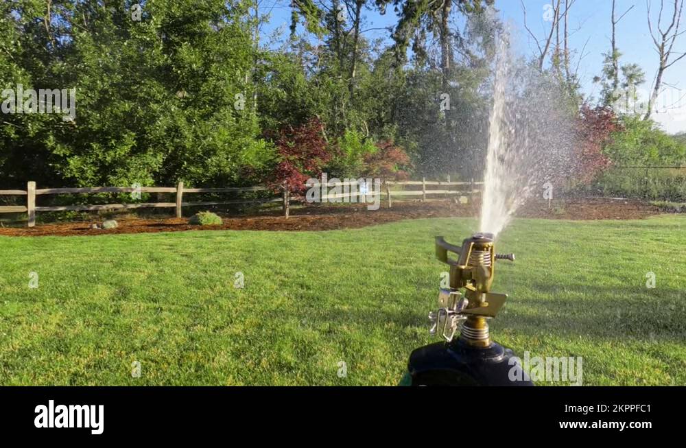 Automatic sprinkler head watering a private lawn during summer Stock ...