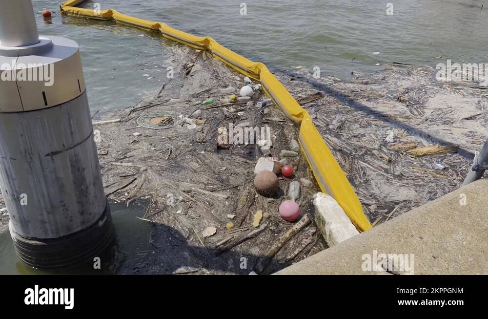 Yellow river pollution Stock Videos & Footage - HD and 4K Video Clips ...