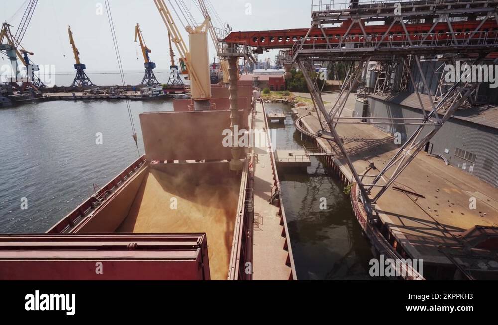 Grain loading to bulker ship cargo container at sea grain terminal in ...