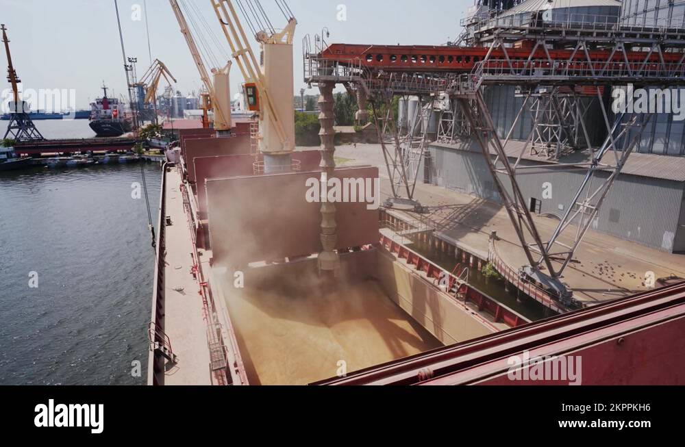 Grain loading to bulker ship cargo container at sea grain terminal in ...