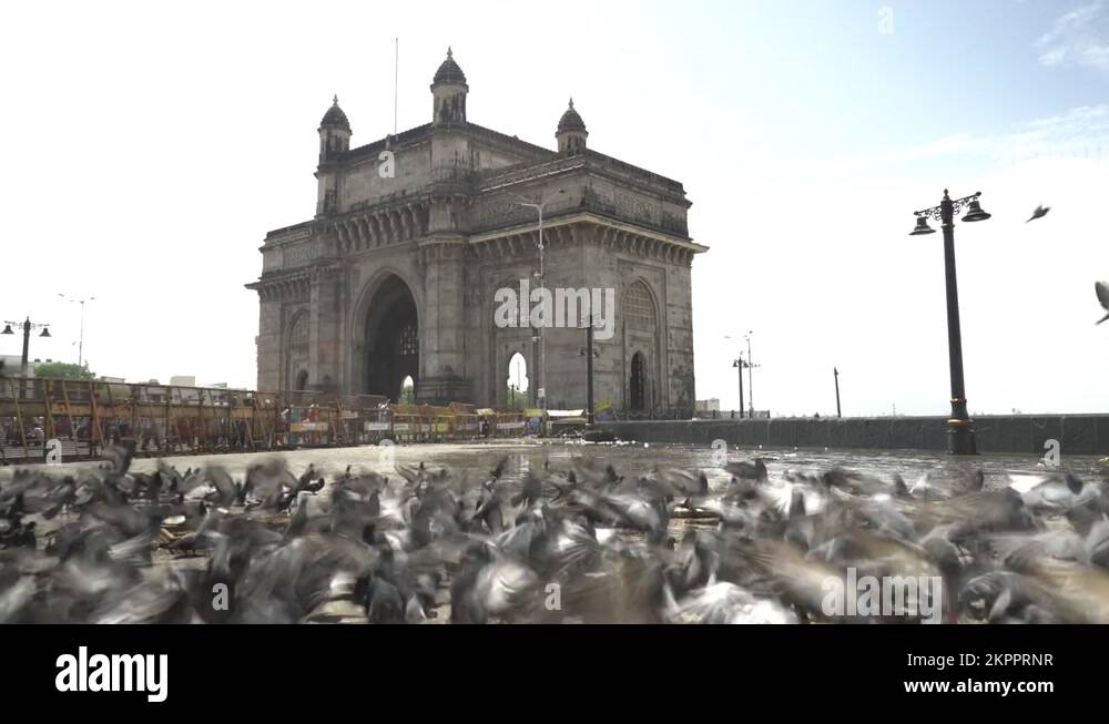 Pigeons flying gateway of india Stock Videos & Footage - HD and 4K ...