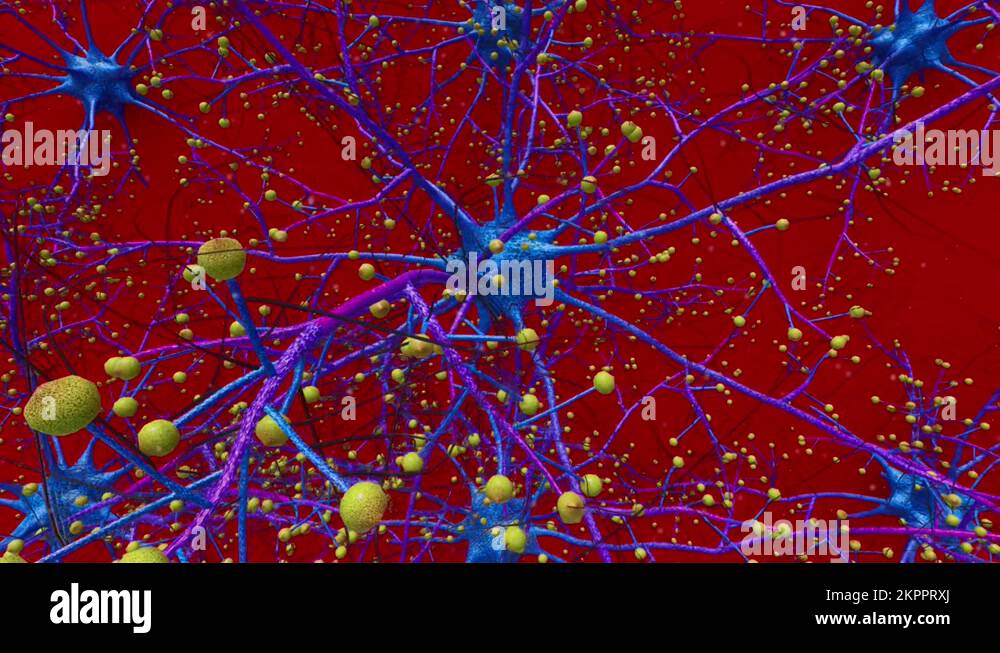 Neural networks brain Stock Videos & Footage - HD and 4K Video Clips - Alamy