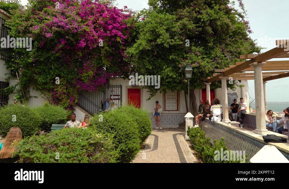 Shade on a wall Stock Videos & Footage - HD and 4K Video Clips - Alamy