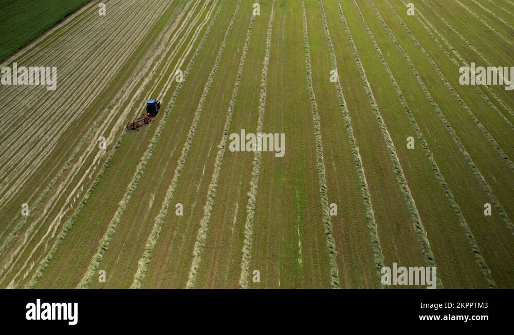 A tractor harvests crops, running up and down rows. Farm. Europe Stock ...