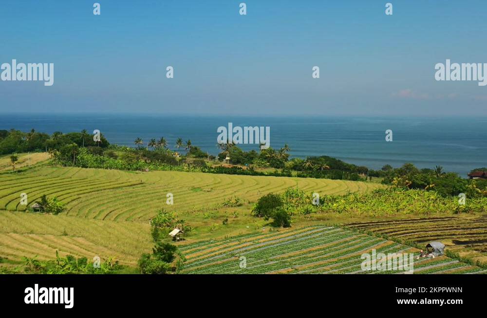 Farm land pattern Stock Videos & Footage - HD and 4K Video Clips - Alamy