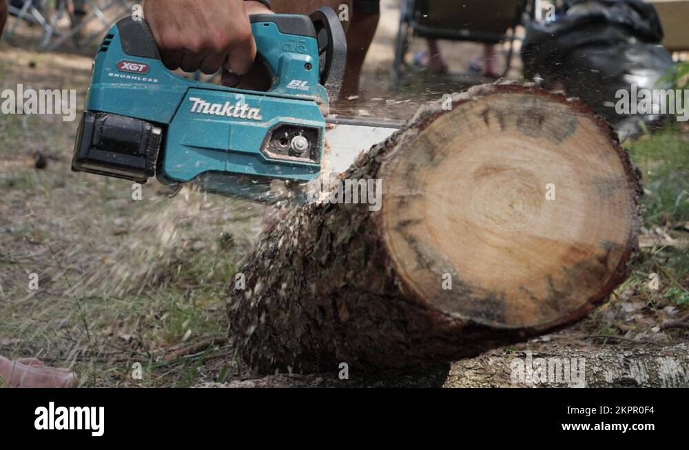 Log easy Stock Videos & Footage - HD and 4K Video Clips - Alamy