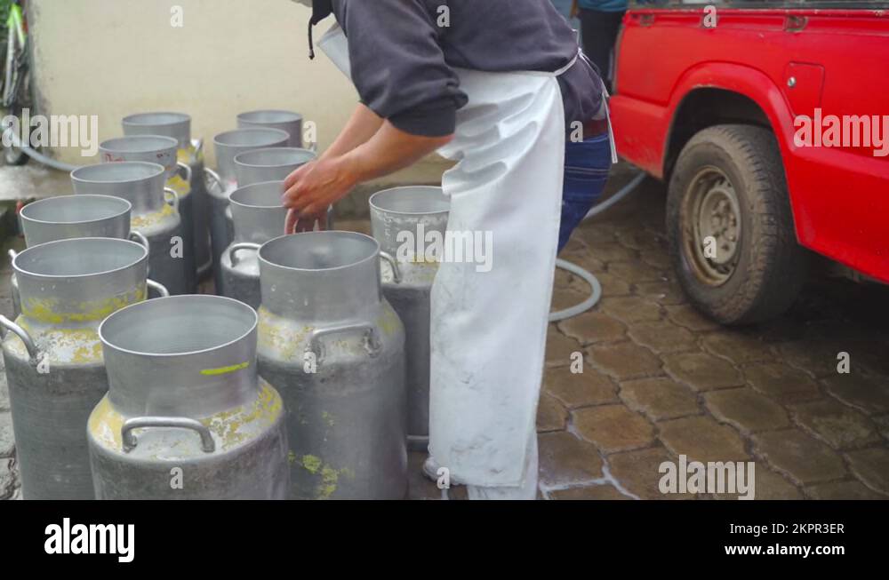 Worker cleaning milk buckets in food factory with pasteurization tank ...