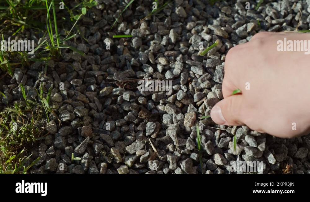 Paving stone soil Stock Videos & Footage - HD and 4K Video Clips - Alamy