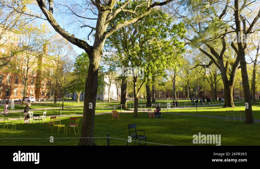 Harvard campus spring Stock Videos & Footage - HD and 4K Video Clips ...