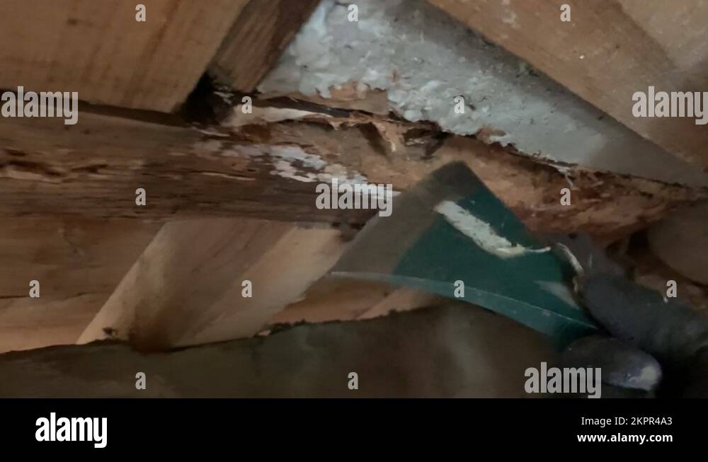 Boring frame Stock Videos & Footage - HD and 4K Video Clips - Alamy