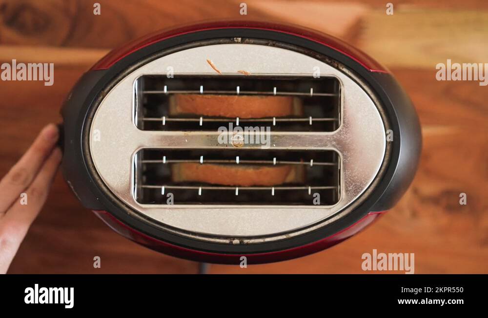 Sliding sliced white bread inside a toaster on kitchen table breakfast ...
