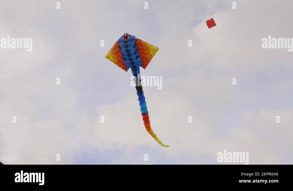 Stingray kite Stock Videos & Footage - HD and 4K Video Clips - Alamy