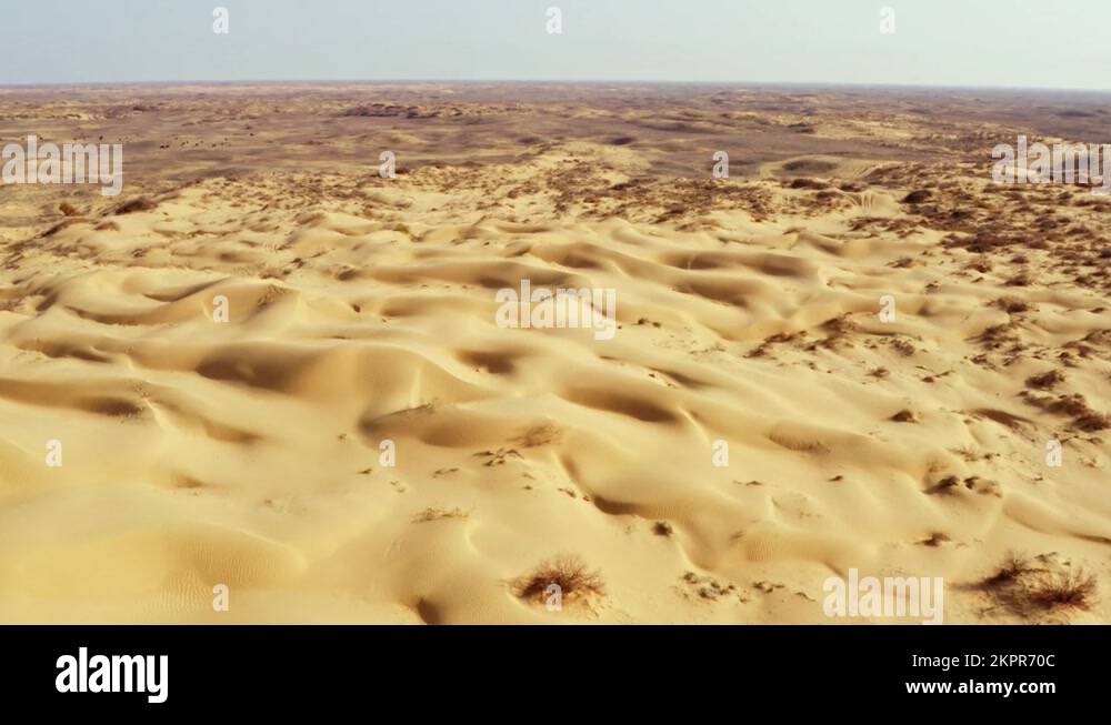 Scorched plants Stock Videos & Footage - HD and 4K Video Clips - Alamy