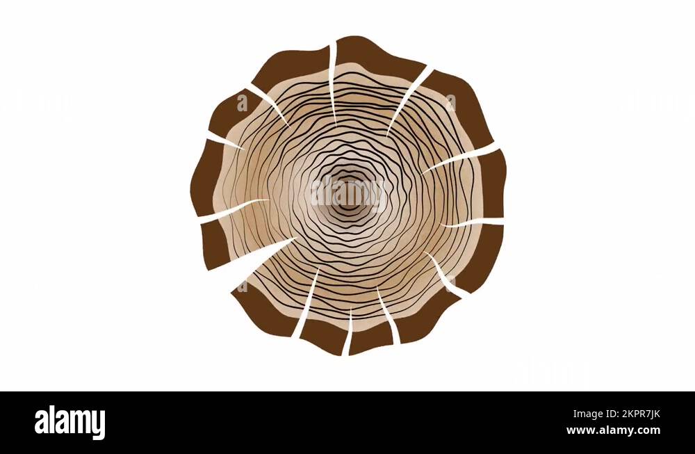 Tree cross section drawing Stock Videos & Footage - HD and 4K Video ...