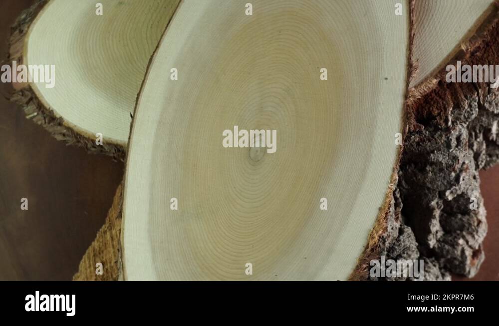 Ash tree wooden texture Stock Videos & Footage - HD and 4K Video Clips ...