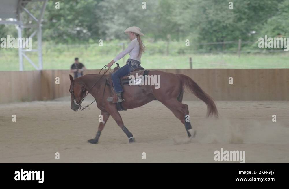 Female cowboy galloping western horse in riding arena 4K Stock Video ...
