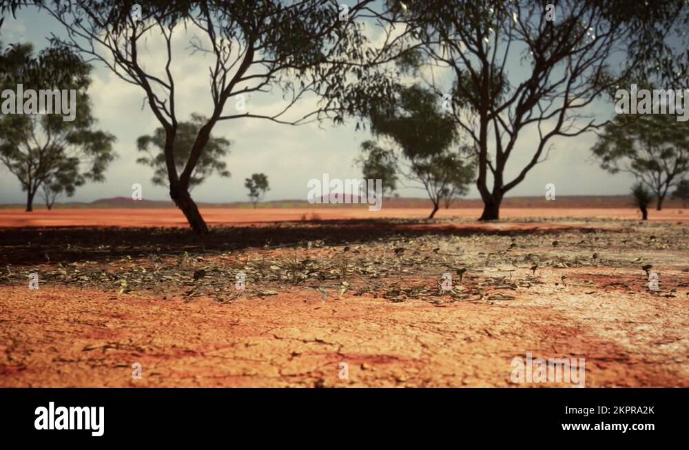 Sun baked earth Stock Videos & Footage - HD and 4K Video Clips - Alamy