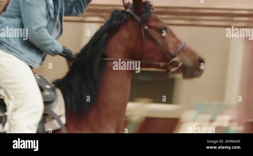 Horse running sport, woman jockey riding horse racing outdoor ...