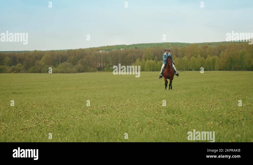 Horse running sport, woman jockey riding horse racing outdoor ...