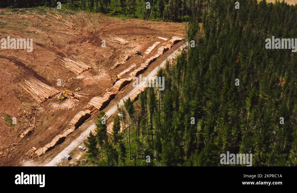 Pile storage Stock Videos & Footage - HD and 4K Video Clips - Alamy