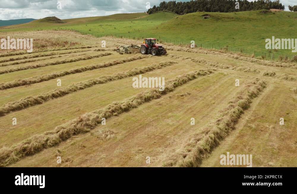 Windrowing grass Stock Videos & Footage - HD and 4K Video Clips - Alamy
