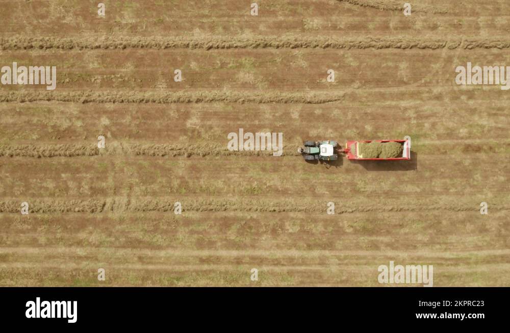 Grass windrow Stock Videos & Footage - HD and 4K Video Clips - Alamy