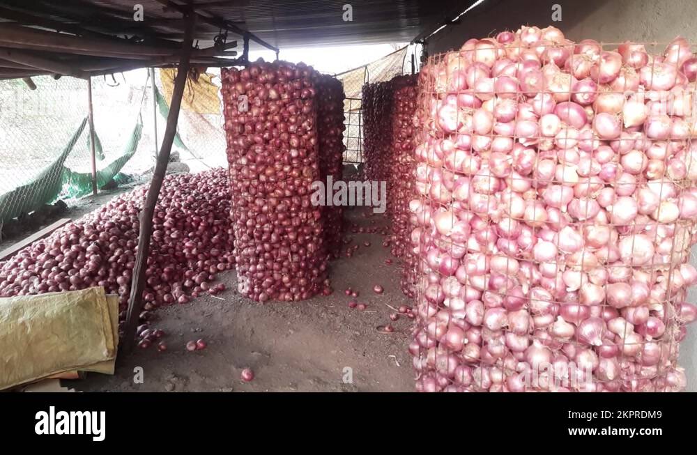Onion interior Stock Videos & Footage - HD and 4K Video Clips - Alamy