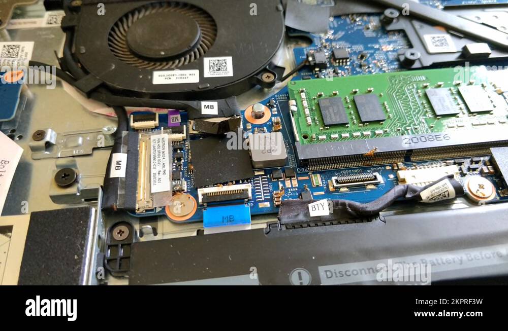 Ants living inside a small crevices of laptop internal hardware Stock ...