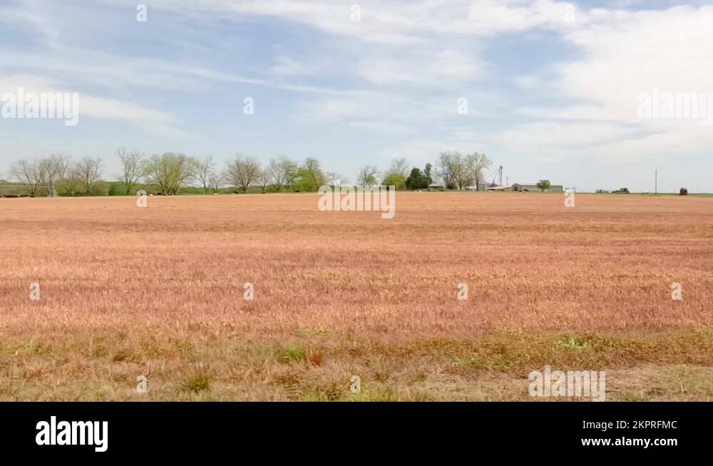 Wheat field farm house in distance Stock Videos & Footage - HD and 4K ...