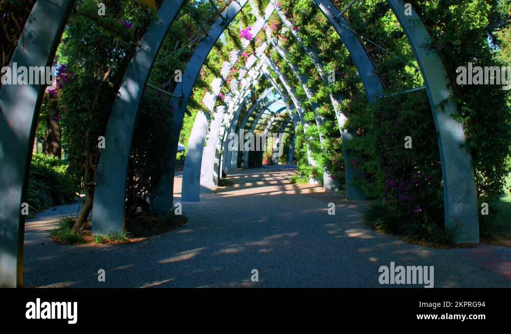 Walking Under The Arbour With Bougainvillea Canopy On South Bank ...