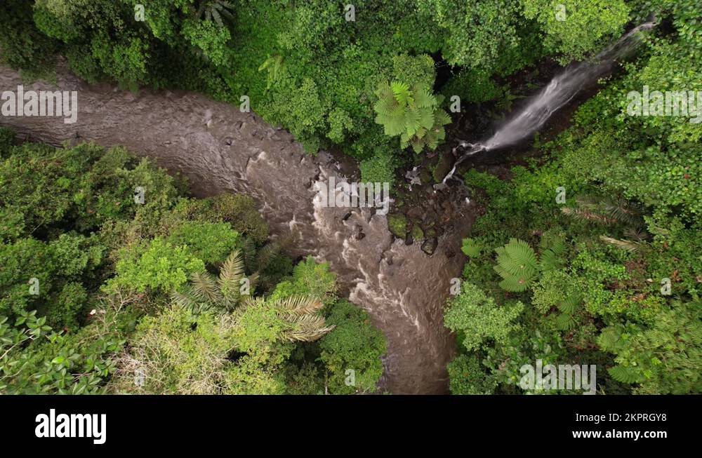 Water fall from height and flow into small river, green jungles around ...