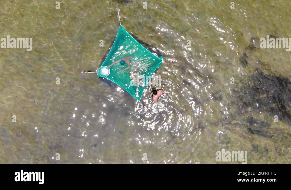 Trap water Stock Videos & Footage - HD and 4K Video Clips - Alamy