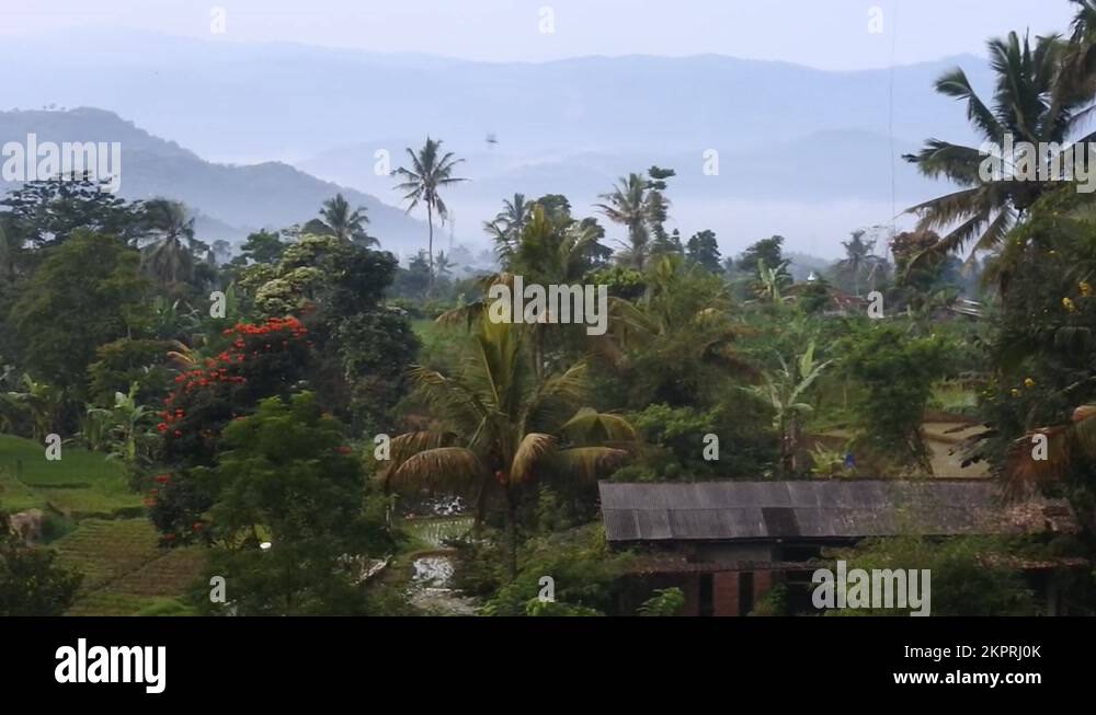 Indonesia java villages Stock Videos & Footage - HD and 4K Video Clips ...