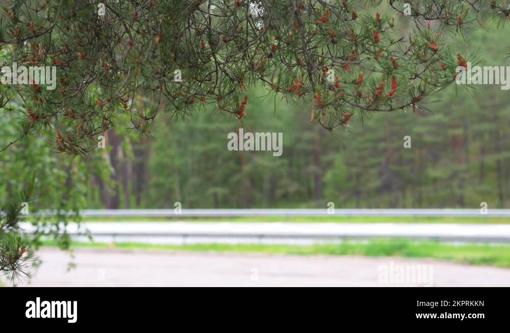 Road spikes Stock Videos & Footage - HD and 4K Video Clips - Alamy