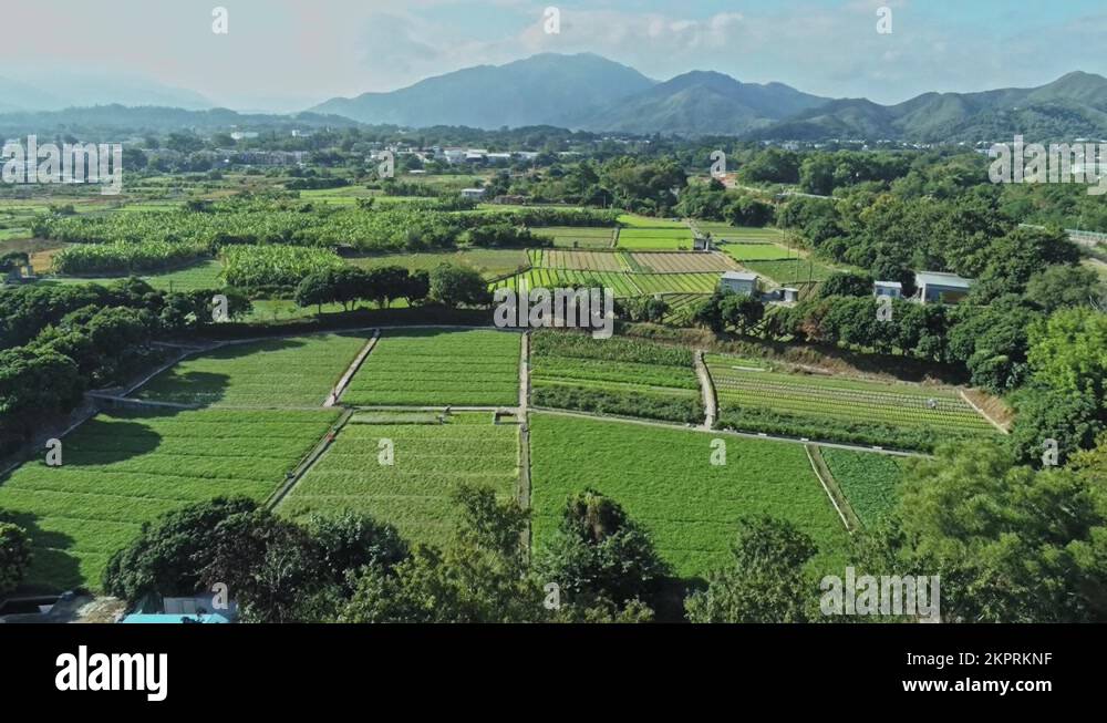 China farm Stock Videos & Footage - HD and 4K Video Clips - Alamy