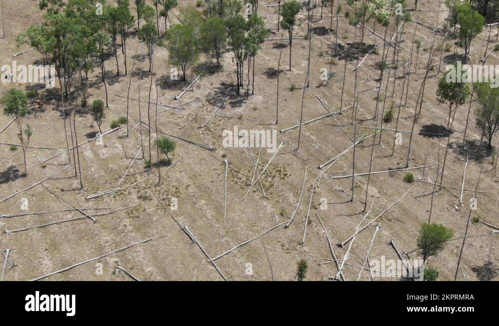 Deforestation australia aerial Stock Videos & Footage - HD and 4K Video ...