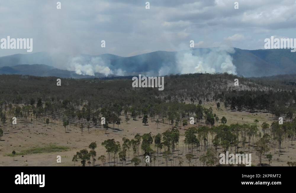 Dry rainforest queensland Stock Videos & Footage - HD and 4K Video ...