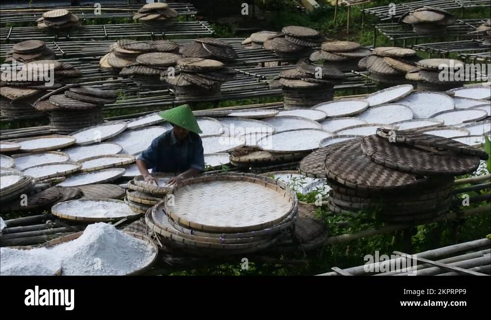 Cassava tapioca Stock Videos & Footage - HD and 4K Video Clips - Alamy