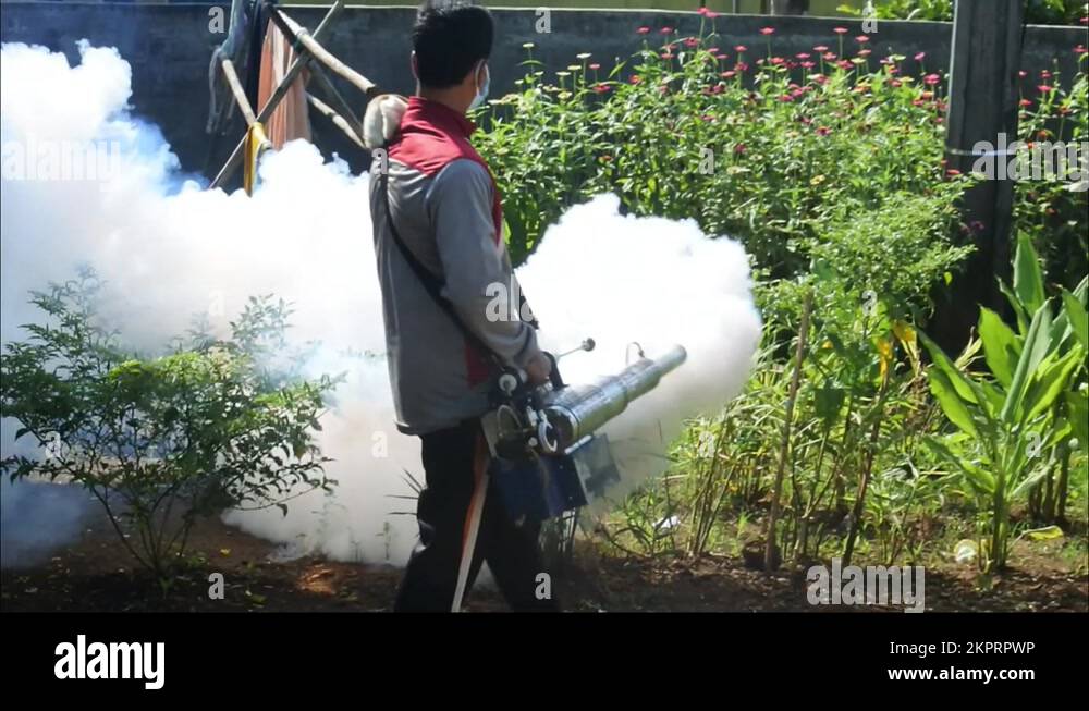 Fogging machine Stock Videos & Footage - HD and 4K Video Clips - Alamy