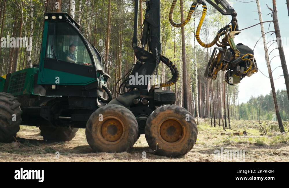 Pile log logs forestry industrial Stock Videos & Footage - HD and 4K ...