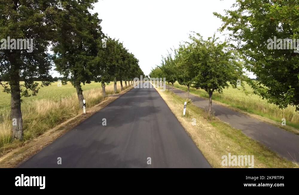 empty small country road alley on the way to the next village Beautiful ...
