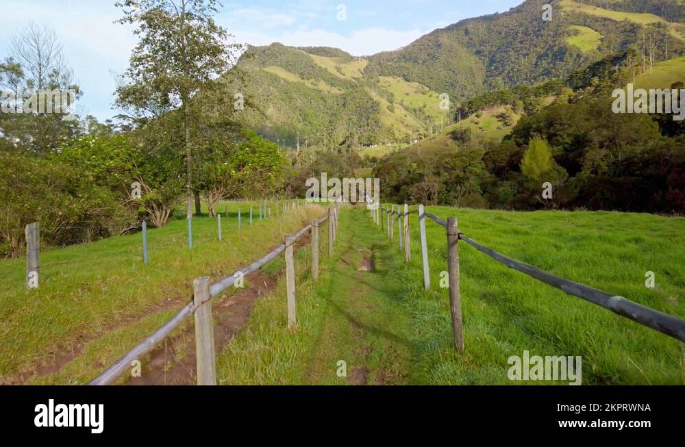 Grass pathway Stock Videos & Footage - HD and 4K Video Clips - Alamy