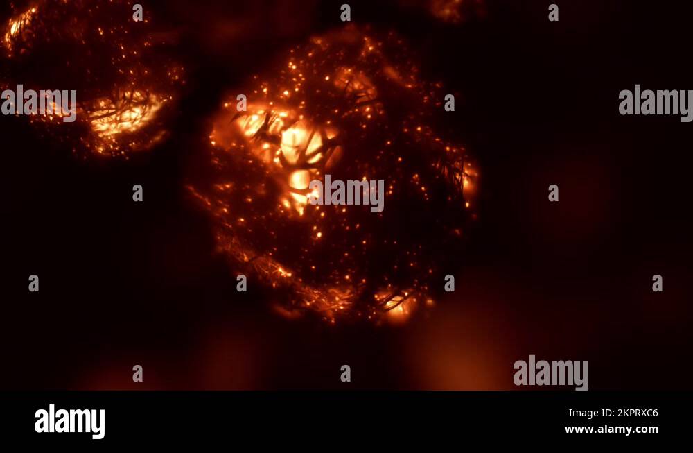 Cell nucleus hi Stock Videos & Footage - HD and 4K Video Clips - Alamy