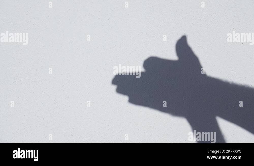 Shadow dog barking Stock Videos & Footage - HD and 4K Video Clips - Alamy