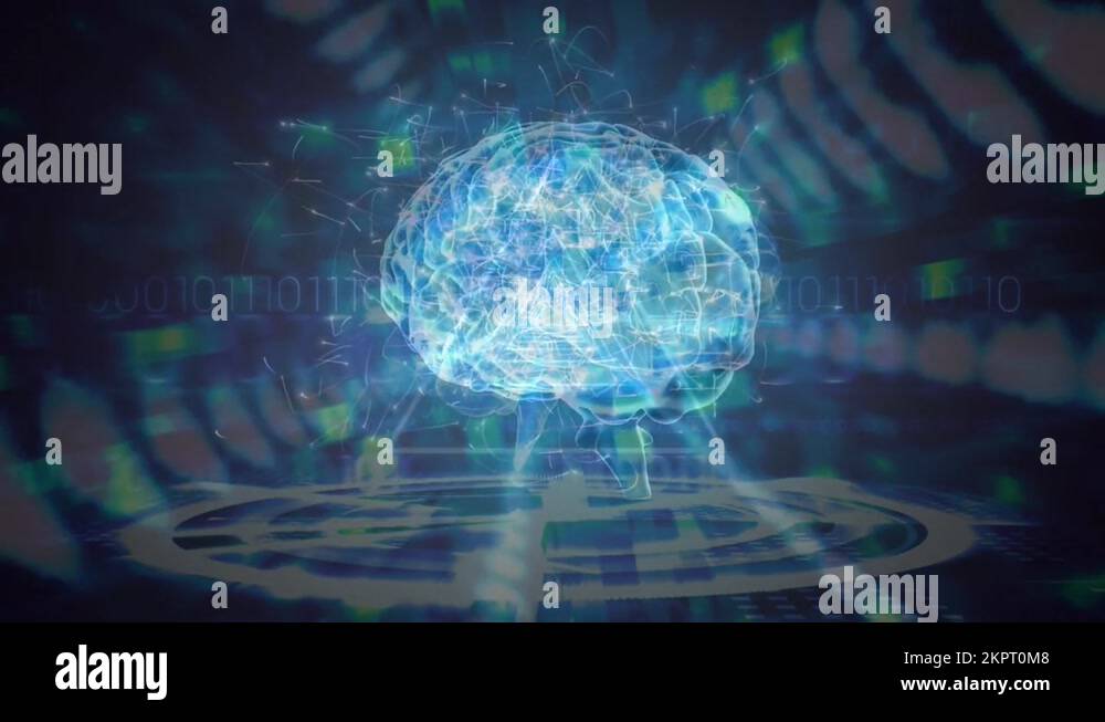 Brain triangle Stock Videos & Footage - HD and 4K Video Clips - Alamy